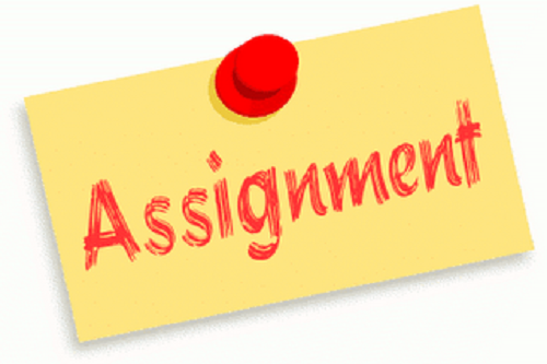 Assignment là gì? Những yêu cầu của công việc assignment trong khách sạn