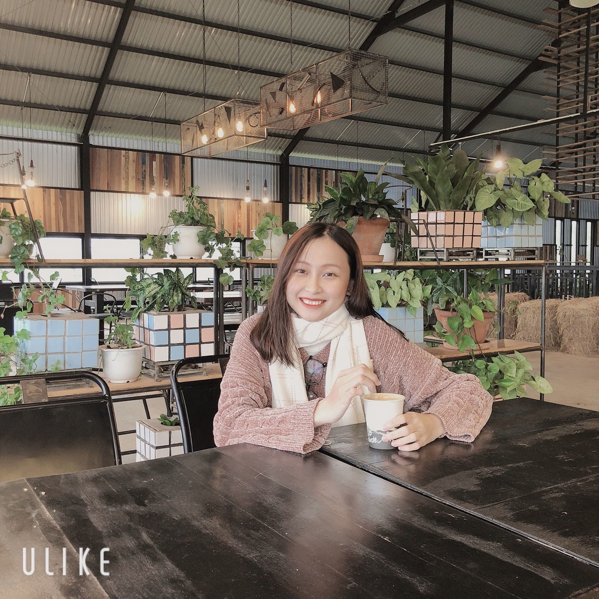 Hồ sơ online Nguyễn Ngọc Trinh: Nhân viên, CV - Hoteljob.vn