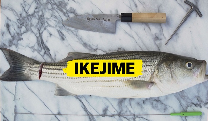 Ikejime là gì? Quy trình 5 bước thực hiện kỹ thuật Ikejime chuẩn đầu ...