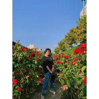 Hồ sơ online Trúc Linh Nguyễn Phạm: Nhân viên, CV Nguyễn Phạm Trúc Linh ...