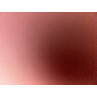 Hồ sơ online Jdjsn Nsjsj: Nhân viên, lễ tân - Hoteljob.vn