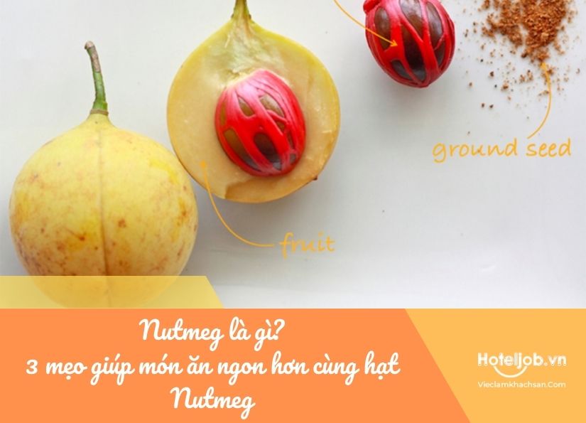 Nutmeg là gì? 3 mẹo giúp món ăn ngon hơn cùng hạt Nutmeg