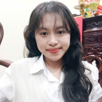 Hồ sơ online Nguyễn Lan Anh